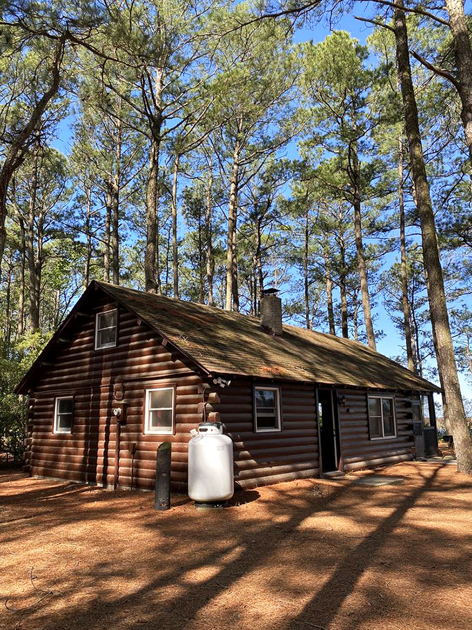 These rustic cabins aren't just accommodations; they're time machines to when "notifications" meant a bird singing outside your window.