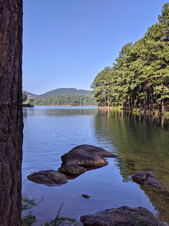 Tranquil waters mirror the surrounding forest, creating that rare moment when even dedicated scrollers put down their phones.