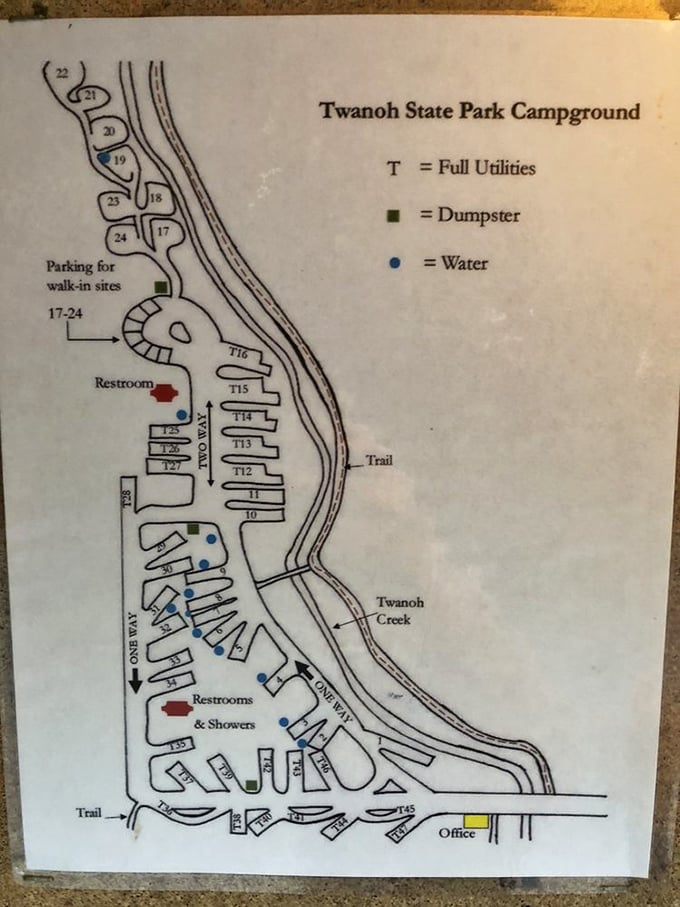 The treasure map to camping happiness. Each numbered site represents a potential memory waiting to be made under Washington's starry skies.