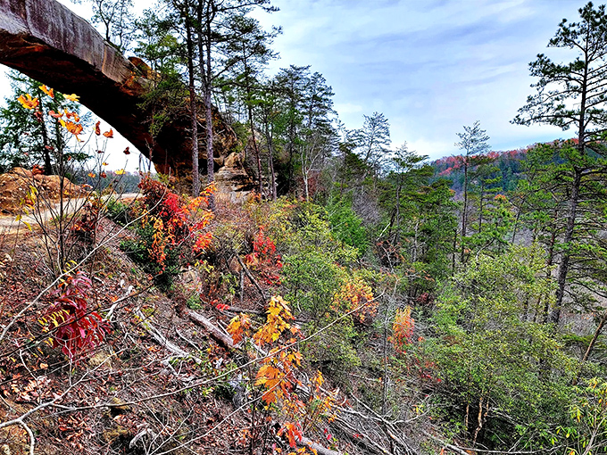 Fall paints the gorge with its most flamboyant palette. The sandstone arch serves as nature's picture frame for this seasonal masterpiece.
