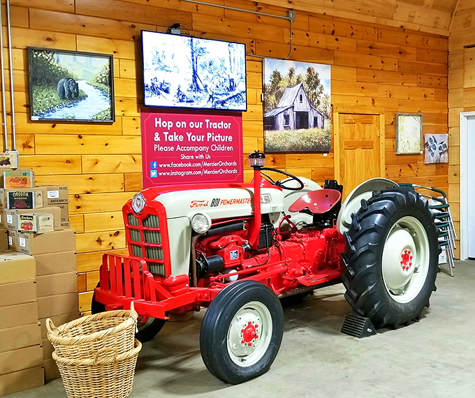 Farm nostalgia on full display. The vintage Ford tractor invites photo ops while silently telling stories of orchards past and present.
