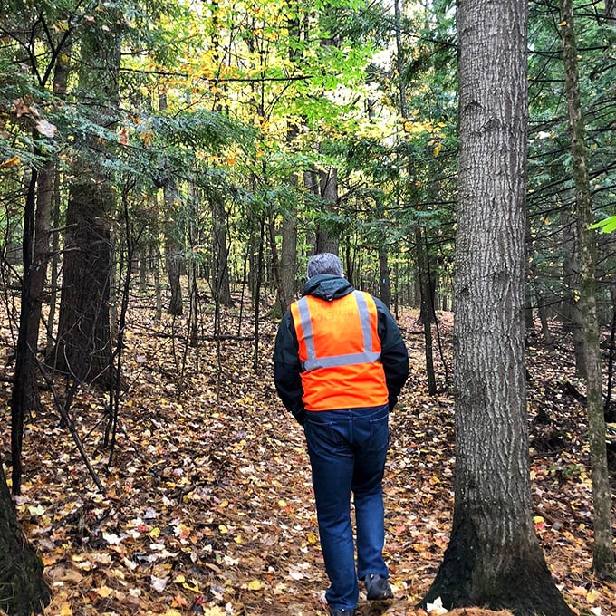 Fall hiking trails around Hanover offer peaceful woodland escapes. These leaf-strewn paths remind us that nature's finest art gallery requires no admission fee.