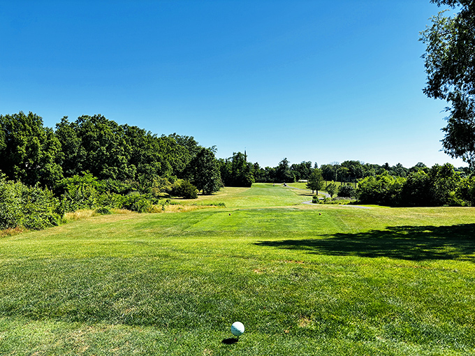 Autumn's paintbrush transforms this pathway into a golden gallery. Walking here feels like strolling through a living Impressionist masterpiece. 