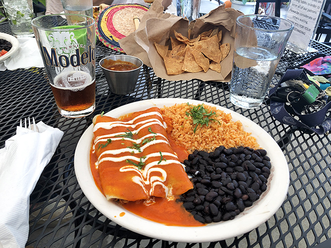 Enchiladas swimming in vibrant sauce with perfect rice and beans alongside. The holy trinity of Mexican comfort food, elevated.