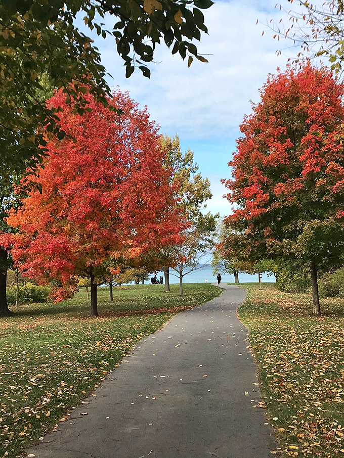 Fall foliage creates a fiery gateway to Lake Ontario, proving upstate New York doesn't need Broadway lights to create spectacular shows.