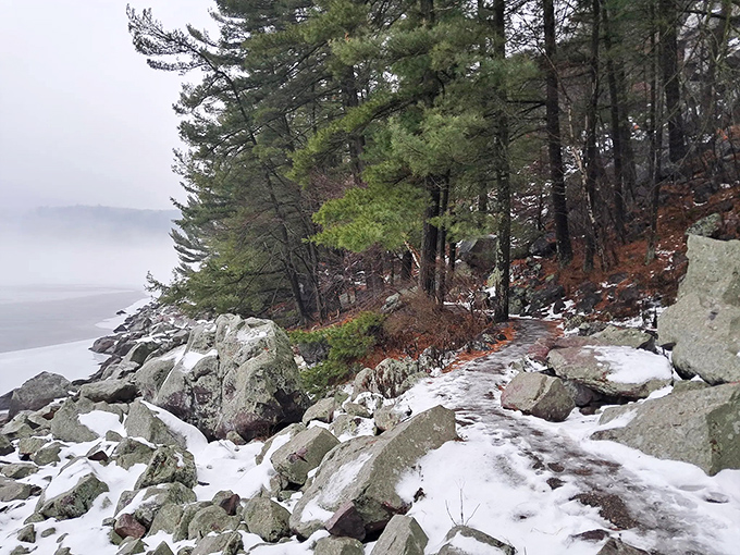 Misty mornings add mystery to familiar paths. Winter fog transforms the shoreline into something from a Scandinavian fairy tale.