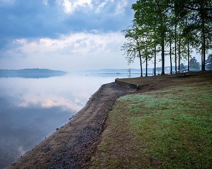 Morning mist hovers like a gentle ghost, turning an ordinary shoreline into something from a fairytale.