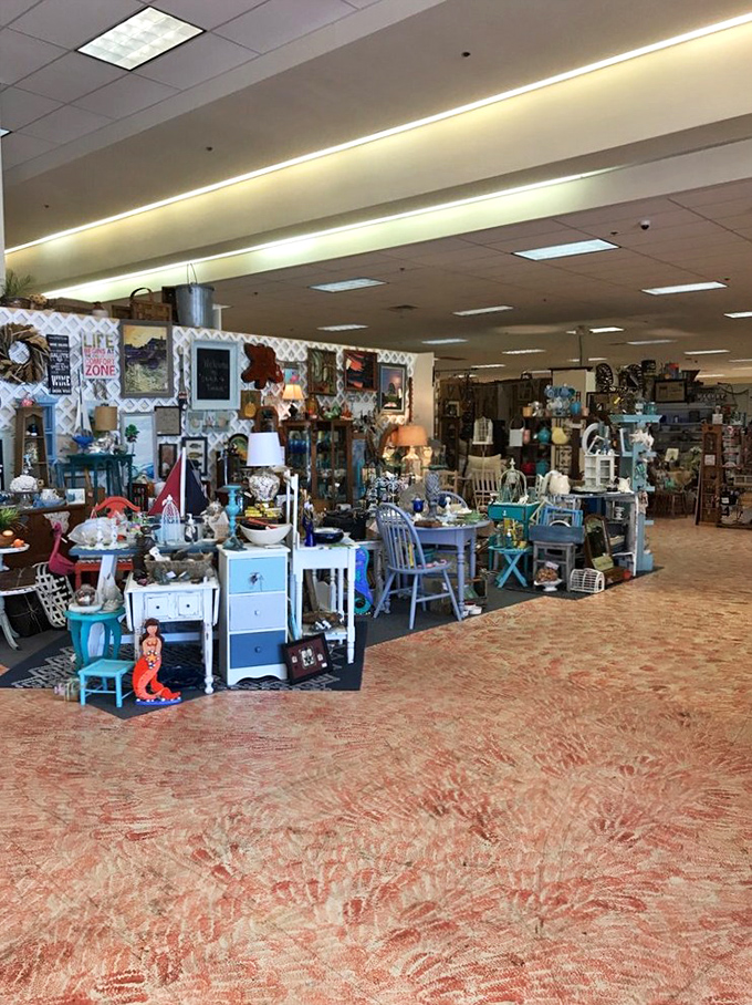 Coastal-themed treasures arranged with loving care. That mermaid figurine is just waiting to bring some quirky charm to someone's beach house bathroom.