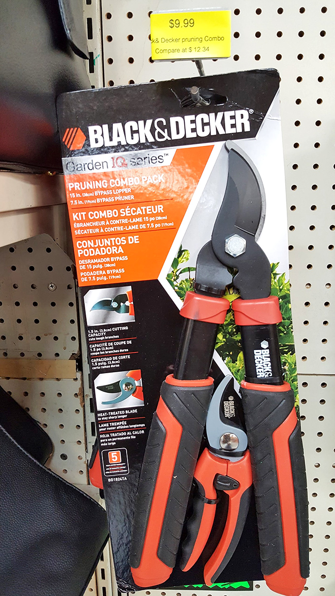 These garden pruners aren't just tools; they're the gateway to your backyard transformation story, chapter one: affordable landscaping.