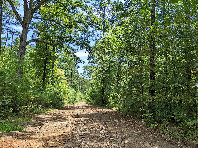 Where the pavement ends, the real adventure begins. This hiking trail offers Ozark exploration for those willing to leave their cup holders behind.