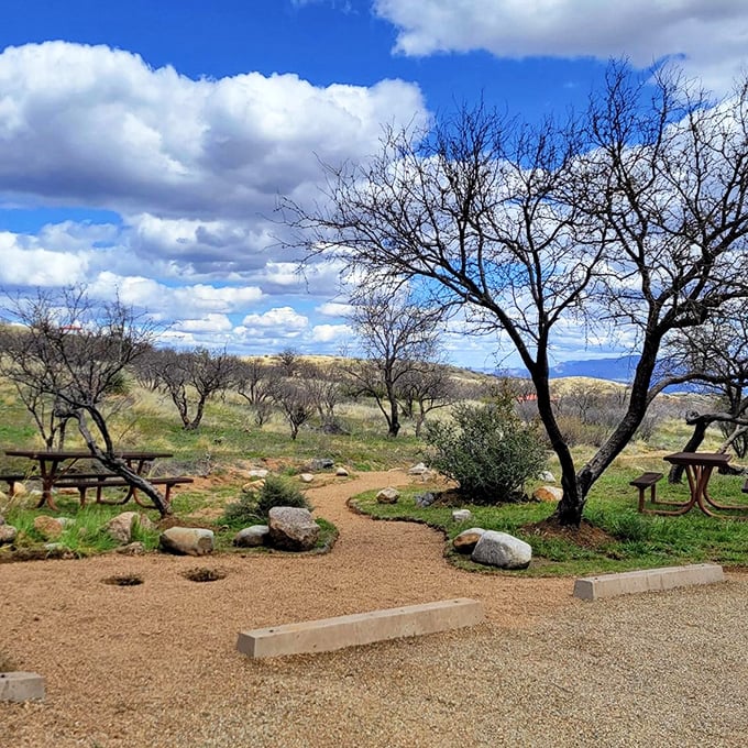 Where desert meets woodland in perfect harmony. This picnic area offers front-row seats to nature's best performance: a Arizona sky in full bloom.