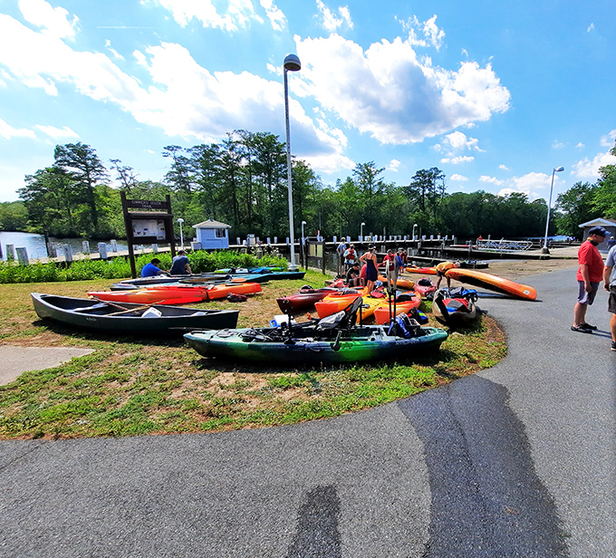 Kayak heaven awaits with a rainbow fleet ready to launch you into adventures on Maryland's most enchanting dark waters.