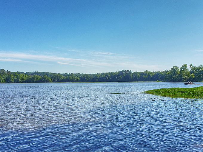 Lake Eufaula's serene waters reflect the surrounding forest, creating a double dose of natural beauty that changes with each passing cloud.