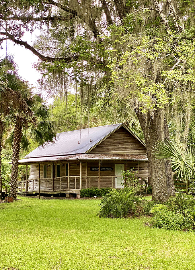 The Micanopy Historical Society Museum sits nestled among palms and Spanish moss, looking like it's waiting for a Tennessee Williams character to emerge.