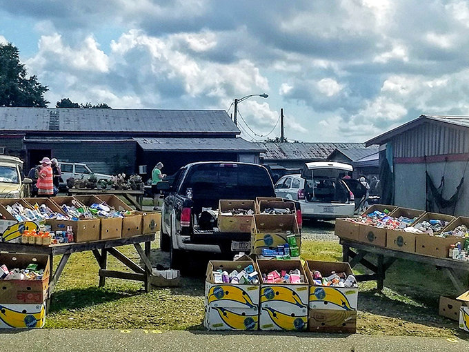 Grocery shopping with a side of adventure. These produce boxes offer farm-fresh bargains under the Carolina sky.