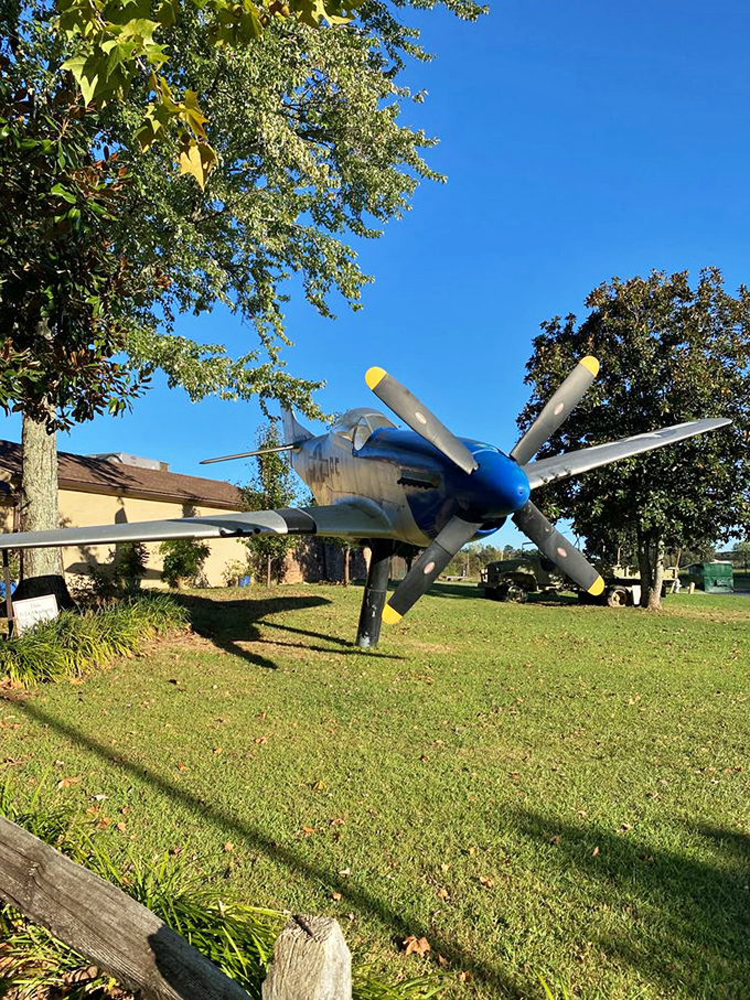 The vintage P-51 Mustang display brings authentic aviation history to your dining experience&mdash;no in-flight meal has ever measured up to what awaits inside.