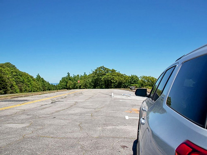 Pull over anywhere along the drive for impromptu viewpoints. Some of the best moments happen when you simply stop and look.