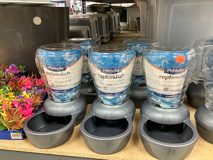 Pet waterers that keep Fluffy hydrated while you're away. Peace of mind comes in blue plastic and doesn't cost a fortune.