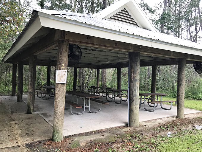 Picnic shelters: where family memories are made, potato salad is questioned, and at least one relative falls asleep mid-conversation.