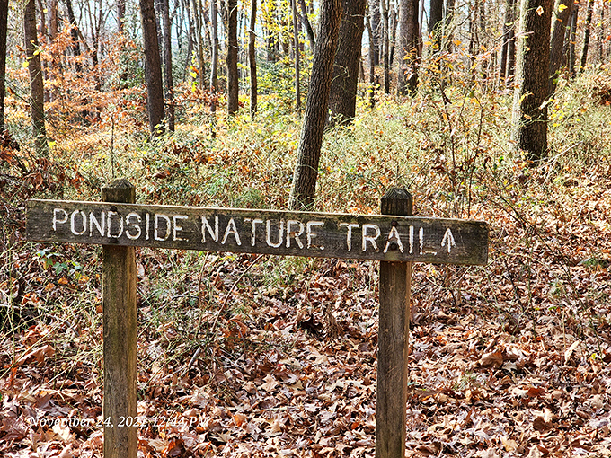 Wooden signs that promise adventure without GPS. Sometimes the best discoveries happen when you follow hand-carved directions.