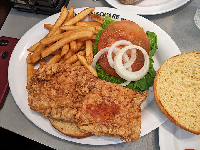 Indiana's famous breaded pork tenderloin, making that bun look comically inadequate. A sandwich that requires both hands and possibly reinforcements.