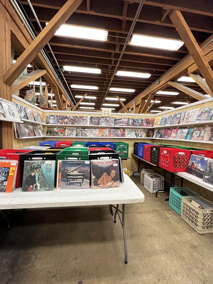 Vinyl records await new turntables and appreciative ears, organized in crates that promise hours of flipping, debating, and inevitable impulse purchases.