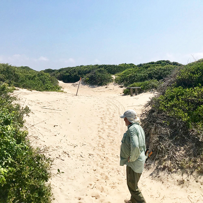 The pathway through the dunes feels like discovering a secret passage to your own private beach paradise.