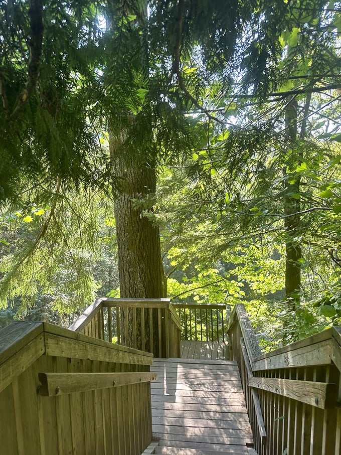 These steps lead to natural wonders rather than basement storage&mdash;a much better use of carpentry skills if you ask me.