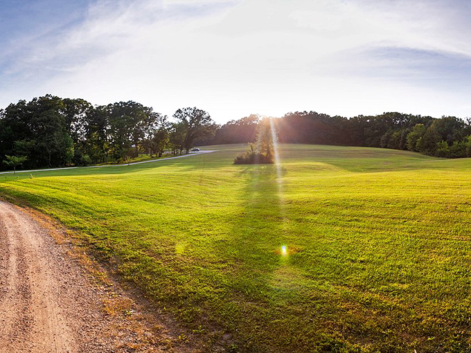 Golden hour blankets the countryside, transforming ordinary fields into extraordinary landscapes that beg to be admired with wine in hand.
