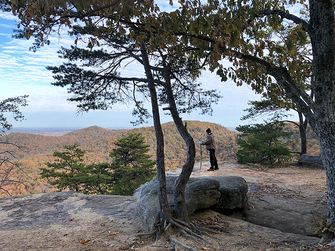 A solitary hiker takes in autumn's grand finale at the Pinnacles &ndash; nature's own IMAX experience, no special glasses required.