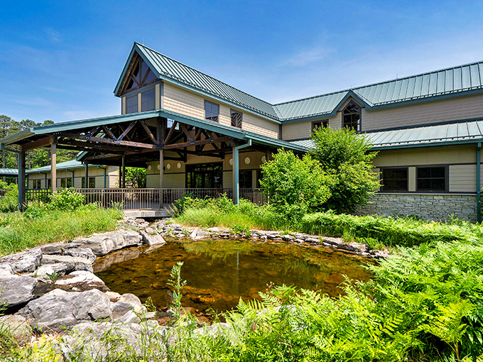 Fall's paintbrush transforms ordinary hiking trails into extraordinary journeys. Even the forest floor gets dressed up for the occasion.