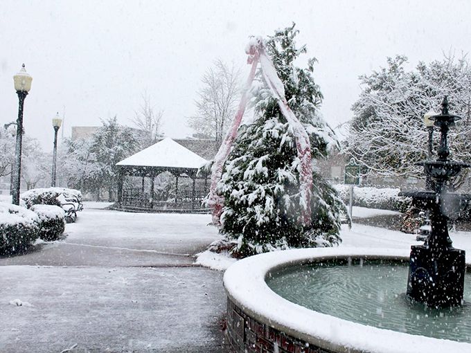 Laurel's farmers market isn't just shopping—it's a Saturday morning social club where produce and gossip are exchanged in equal measure.