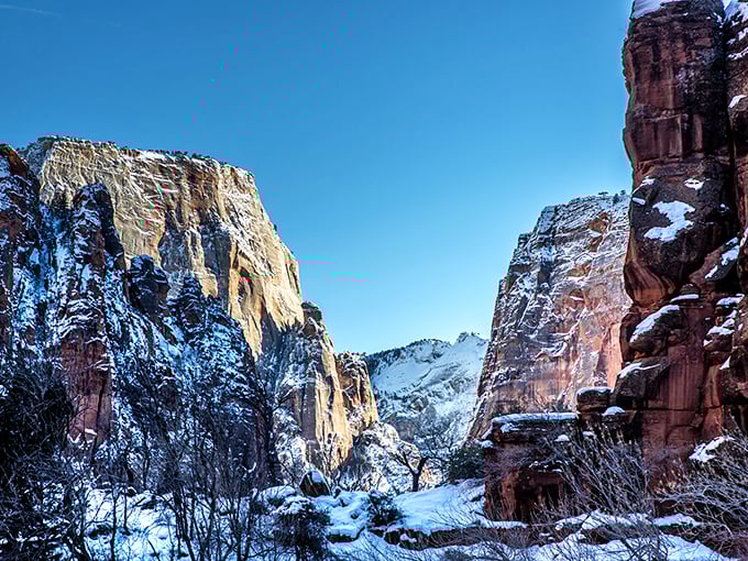Winter transforms Zion into a rarely-seen masterpiece where snow dusts the red rock like powdered sugar on nature's most impressive dessert.
