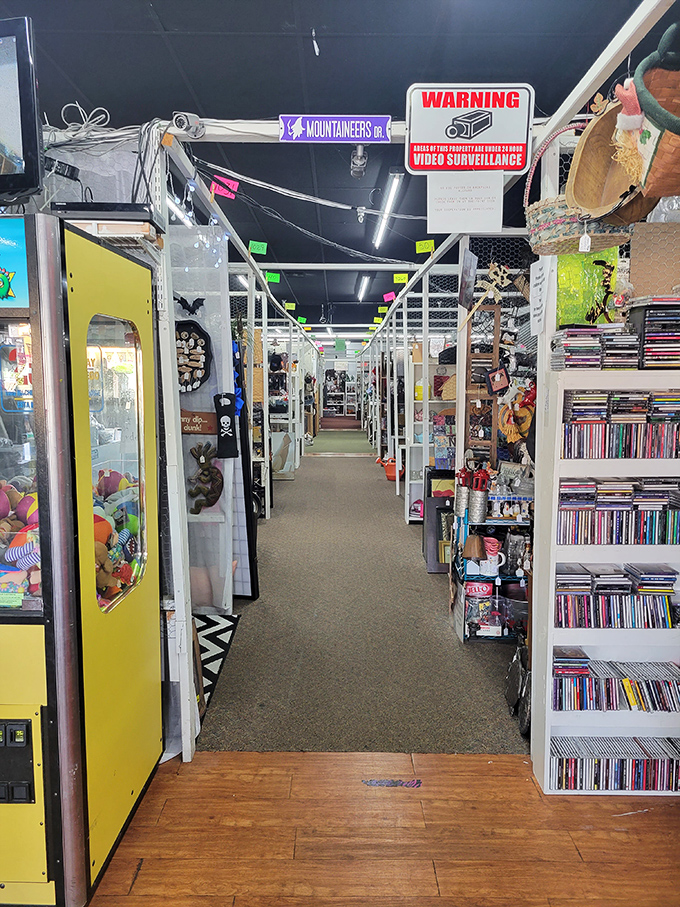 The CD and DVD collections rival any streaming service's library. Physical media still holds a special place in collectors' hearts.