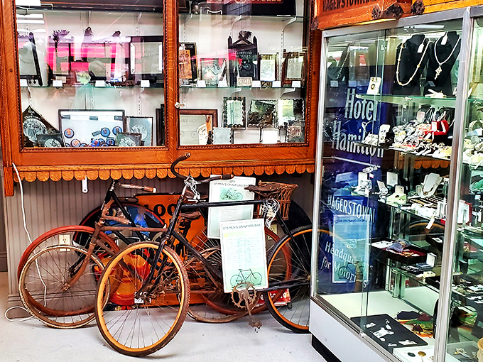 Vintage bicycles that rolled through simpler times, now parked beside jewelry cases. Transportation and decoration merged in perfect antique harmony.