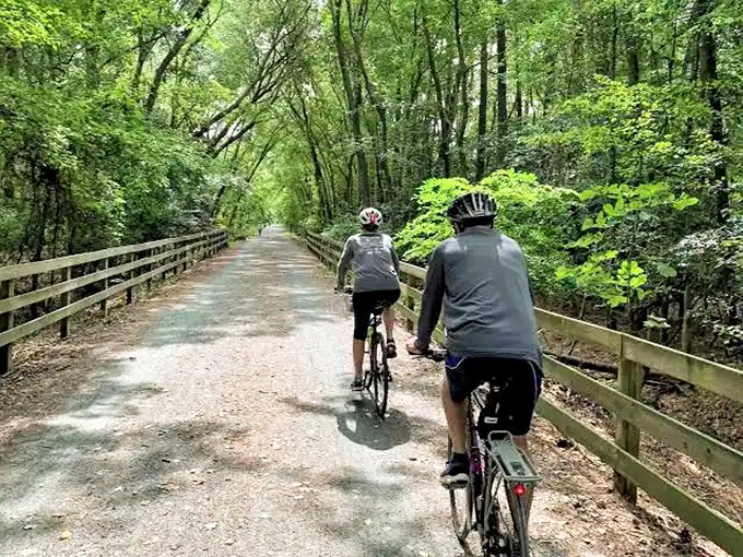 Cyclists enjoy the trail's smooth surface and verdant canopy. Biking here is like gliding through a living postcard.