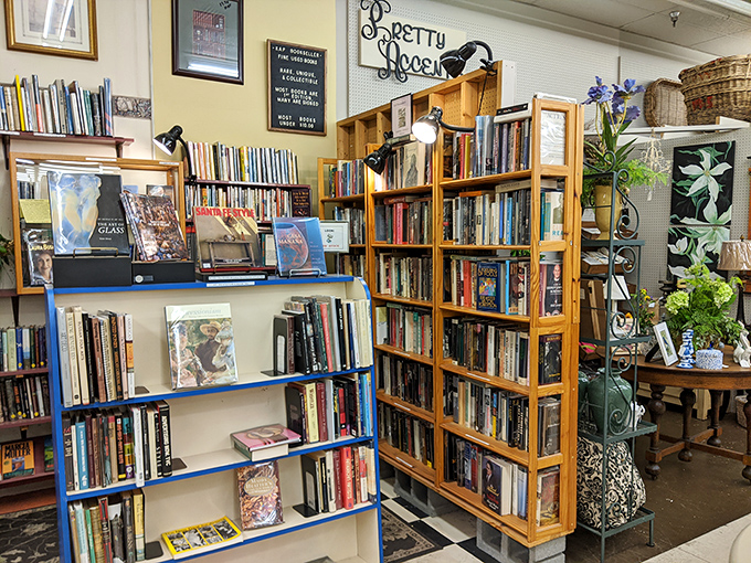 Books that deserve better than being replaced by digital screens surround you here. Each spine represents someone's favorite story waiting to be rediscovered.