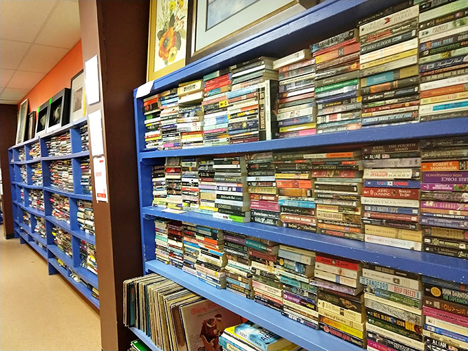 The book section rivals small libraries, with color-coded shelves creating a literary rainbow. Every genre imaginable waits to transport readers without breaking the bank.