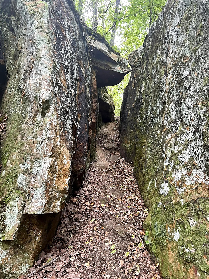 Nature's hallway: Where the rocks stand like ancient sentinels, guarding passages that feel sacred in their simplicity.