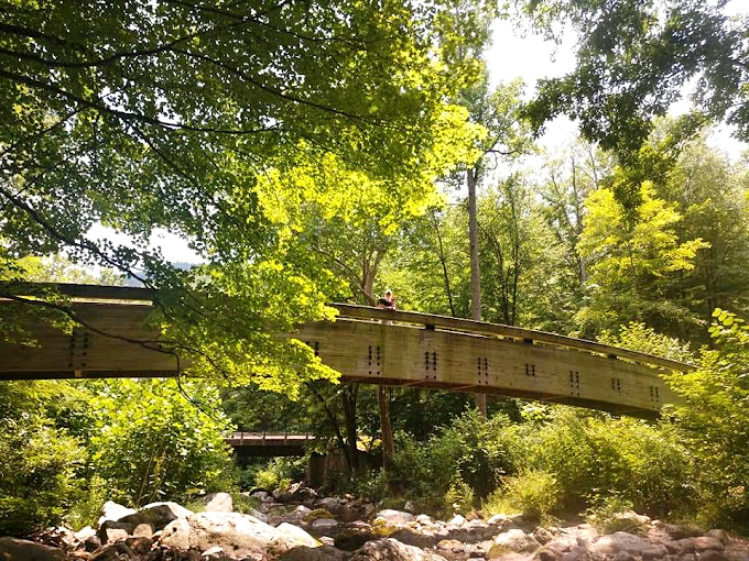 This rustic bridge invites visitors to cross over to adventure, like something straight out of a storybook where magical forest creatures might ask you riddles.