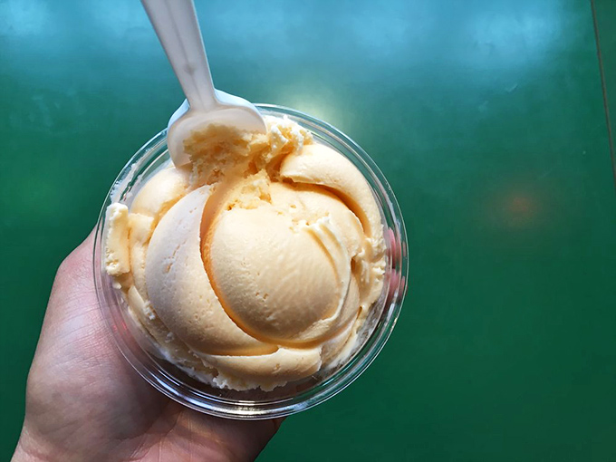 That magical moment when your ice cream matches the shop's sign&mdash;color coordination that feels like destiny, not coincidence.