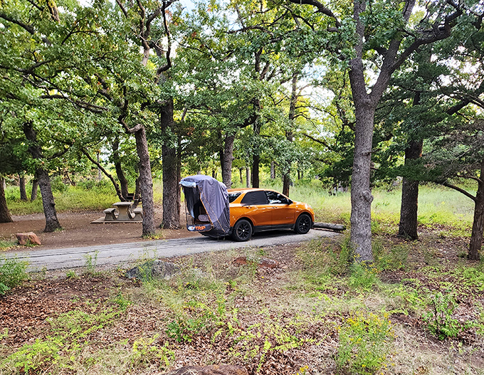 Camping minimalist style. This compact car setup proves you don't need a monster RV to experience the rejuvenating power of nature.