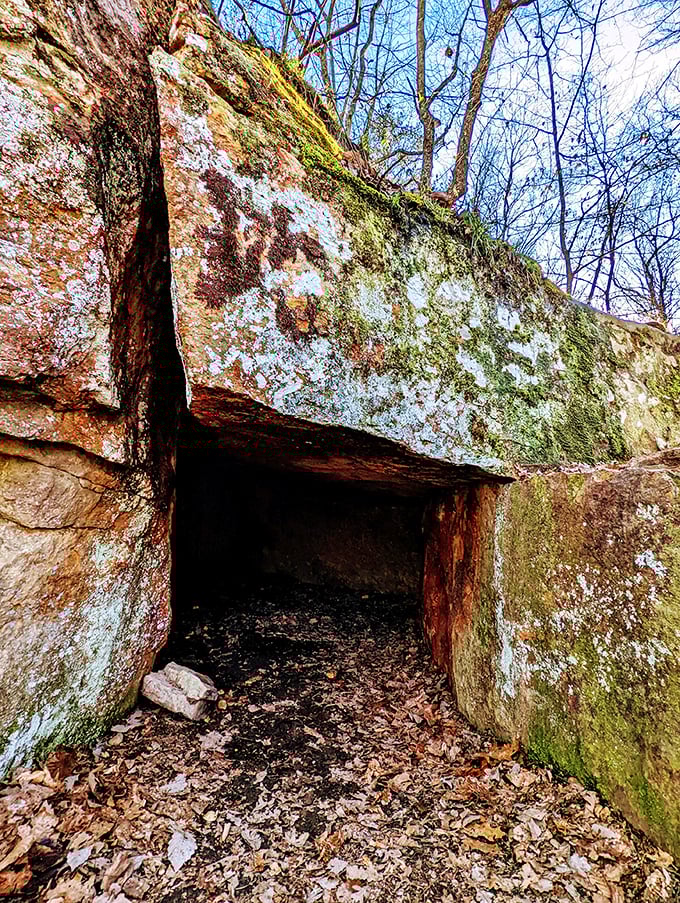 This historic log cabin whispers stories of simpler times. The CCC craftsmanship stands as a testament to Depression-era determination and skill. 