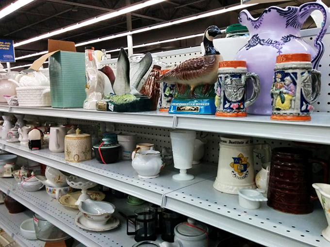 Ceramic treasures and quirky collectibles line the shelves like refugees from 1970s china cabinets, each piece waiting for its renaissance. 