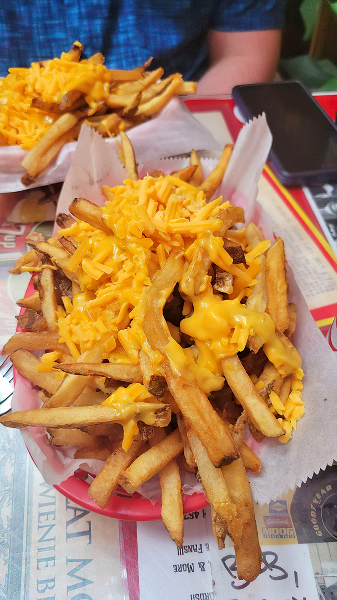 These aren't just cheese fries &ndash; they're a molten gold rush. The cheese-to-fry ratio achieves mathematical perfection.