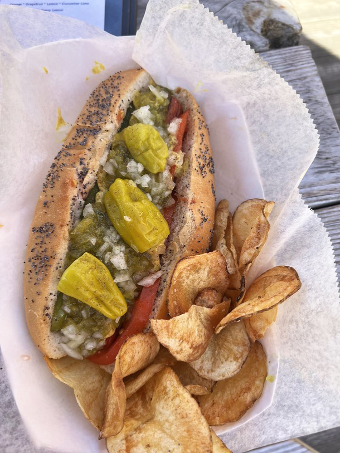 The Chicago dog arrives in all its poppy-seeded, pickle-topped glory. This is what hot dog dreams are made of.