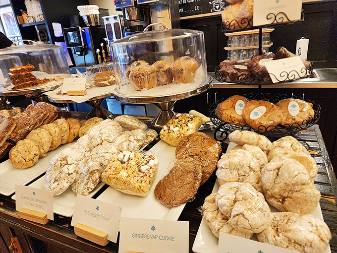 Cookies and muffins lined up like contestants in the world's most delicious beauty pageant. Everyone's a winner in this competition.