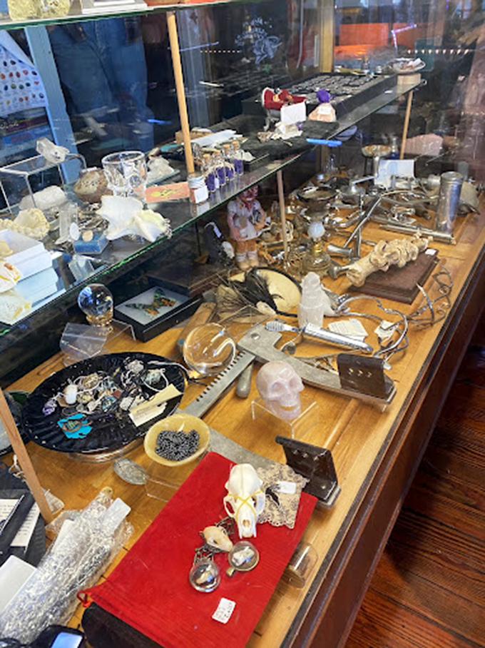 A treasure trove of oddities spread across wooden counters. Each item whispers, "Pick me up and ask about my story."