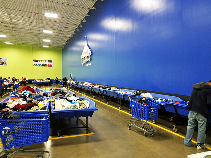 The blue bin republic, where shoppers navigate between carefully spaced tables in a dance that's part shopping, part social ritual.