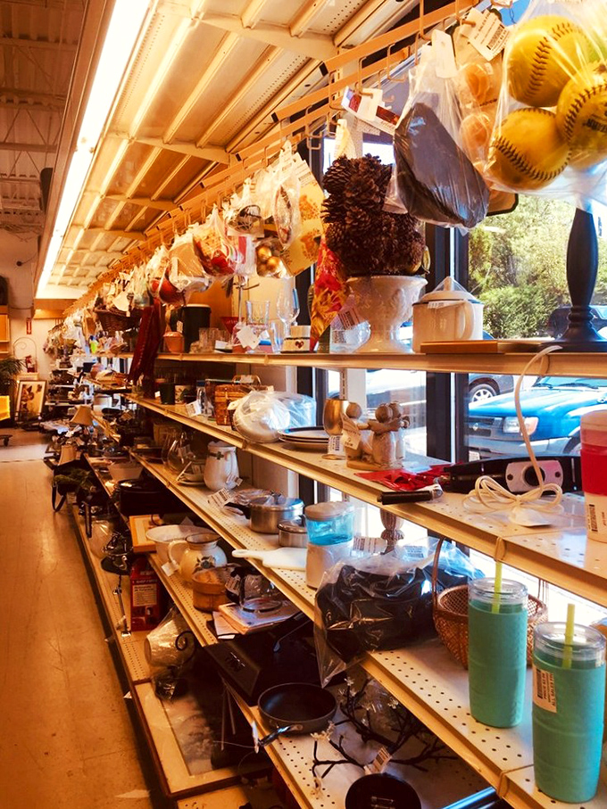 Window shopping without the windows. Sunlight streams in as household items create still-life compositions worthy of a suburban renaissance painting.